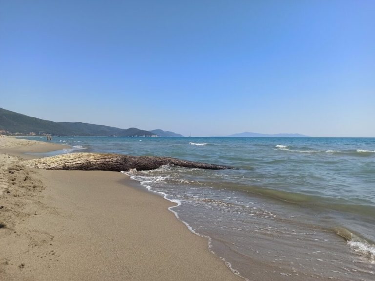 Vacanze relax a Marina di Alberese: cosa vedere e spiagge incontaminate ...