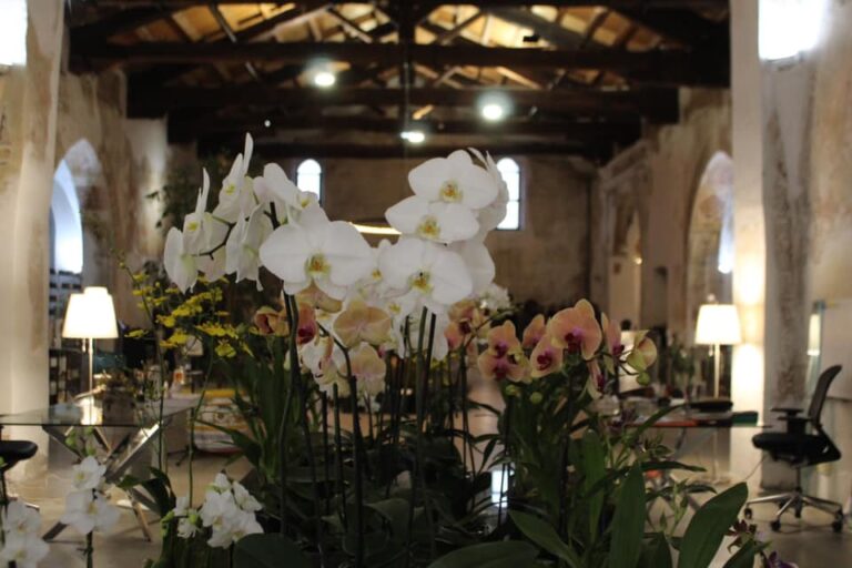 Visitare Cusago: cosa vedere e cosa fare in uno dei borghi più ...