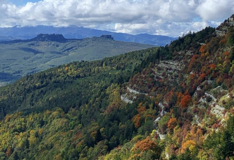 Cosa vedere a Carpegna: cosa fare e passeggiate nel "Borgo del Prosciutto"
