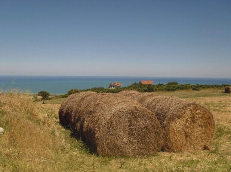 Visitare Colonnella: cosa vedere e cosa fare nella "Terrazza panoramica ...