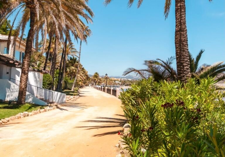Vacanze a Marbella: cosa vedere e cosa fare in una delle "Regine della ...