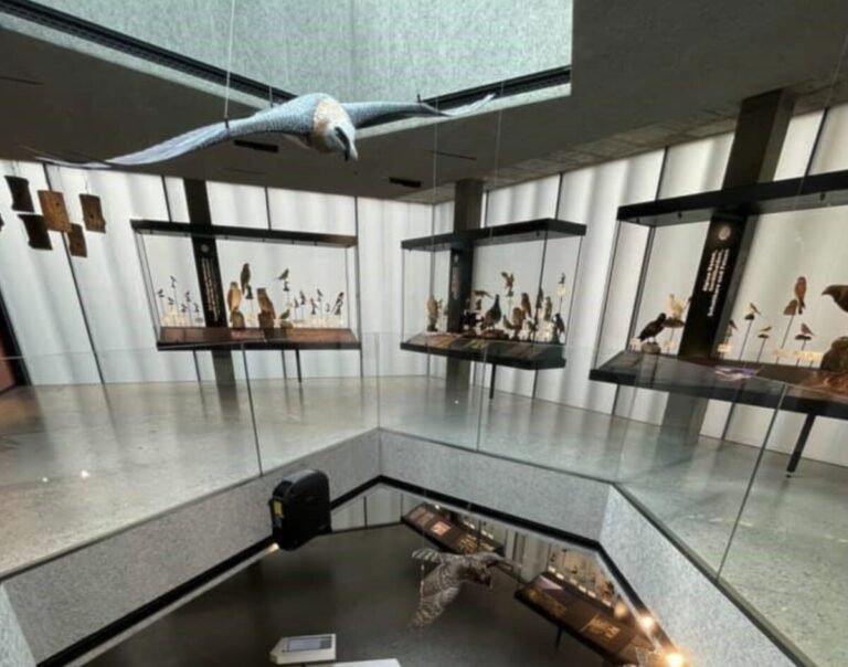 Vacanze relax a Silandro: cosa vedere e cosa fare nel magnifico "Borgo ...