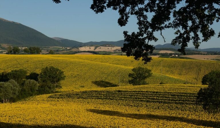 Visitare Camerino: cosa vedere e cosa fare nell'antica città ...