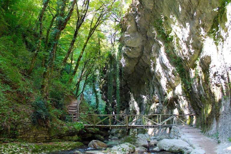 Un meraviglioso sentiero naturalistico in Abruzzo, immerso nel verde ...