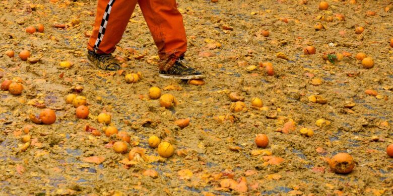 Carnevale di Ivrea: le origini storiche e la battaglia delle arance